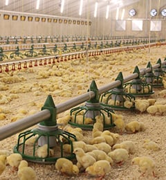 Layers - Vencomatic Group